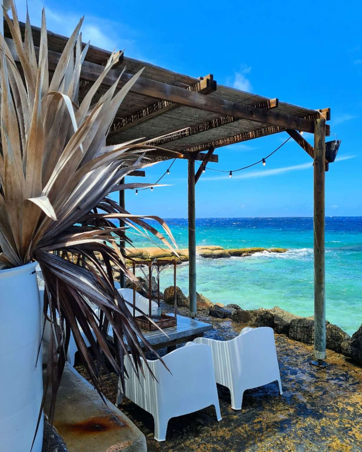 Nieuw restaurant Ceviche 91 opent deuren in Rif Fort | Tips Curaçao