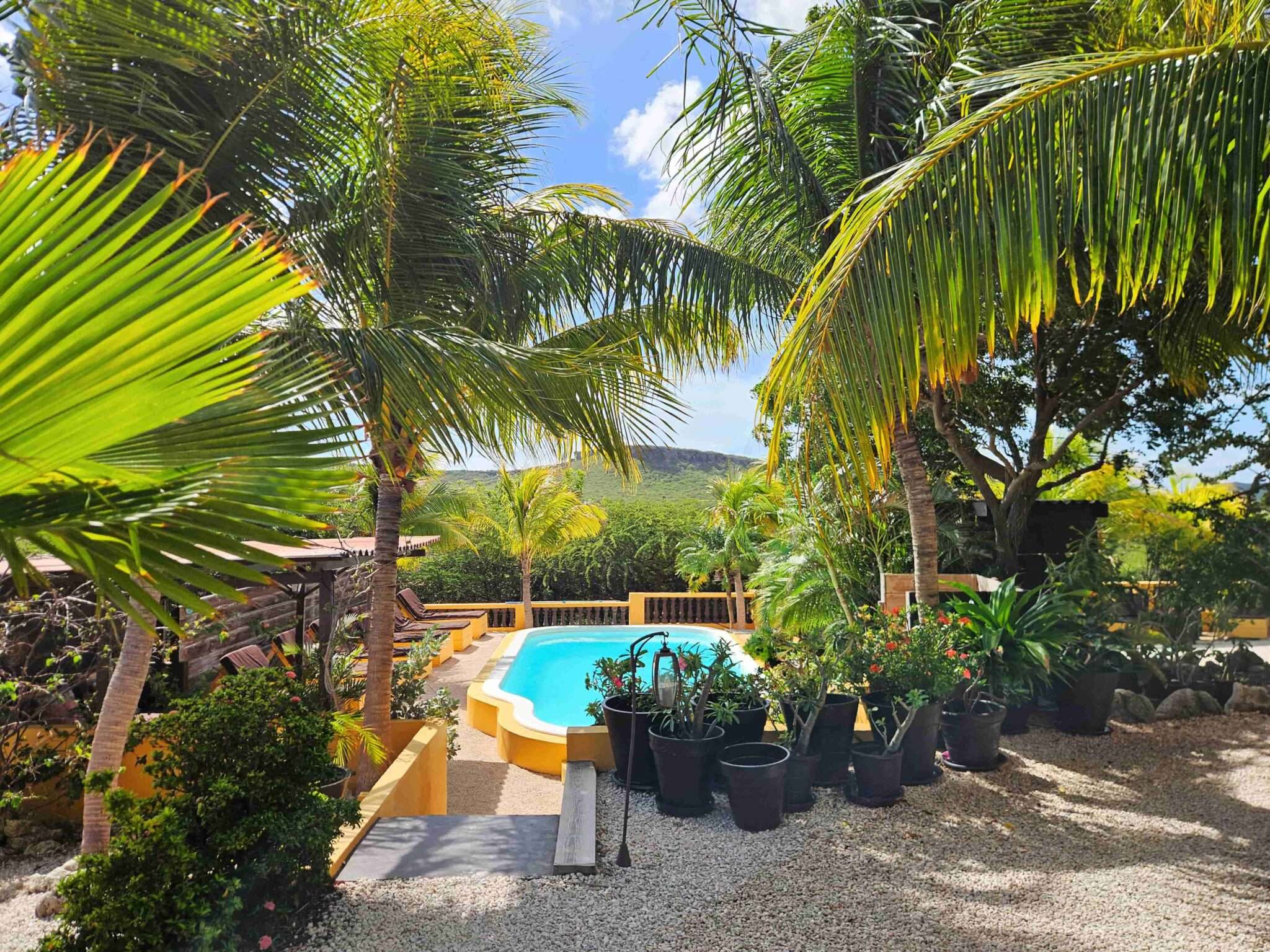 Papiaments: handige woordjes en zinnetjes om te kennen | Tips Curacao